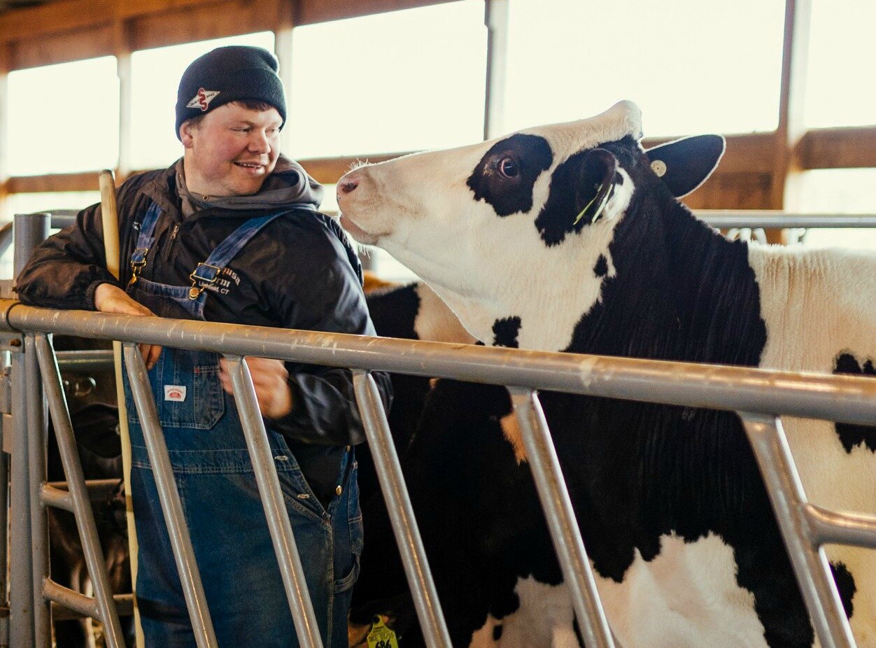 Guide To Connecticut's Dairy Farmers: Shop Locallly! — CT Bites