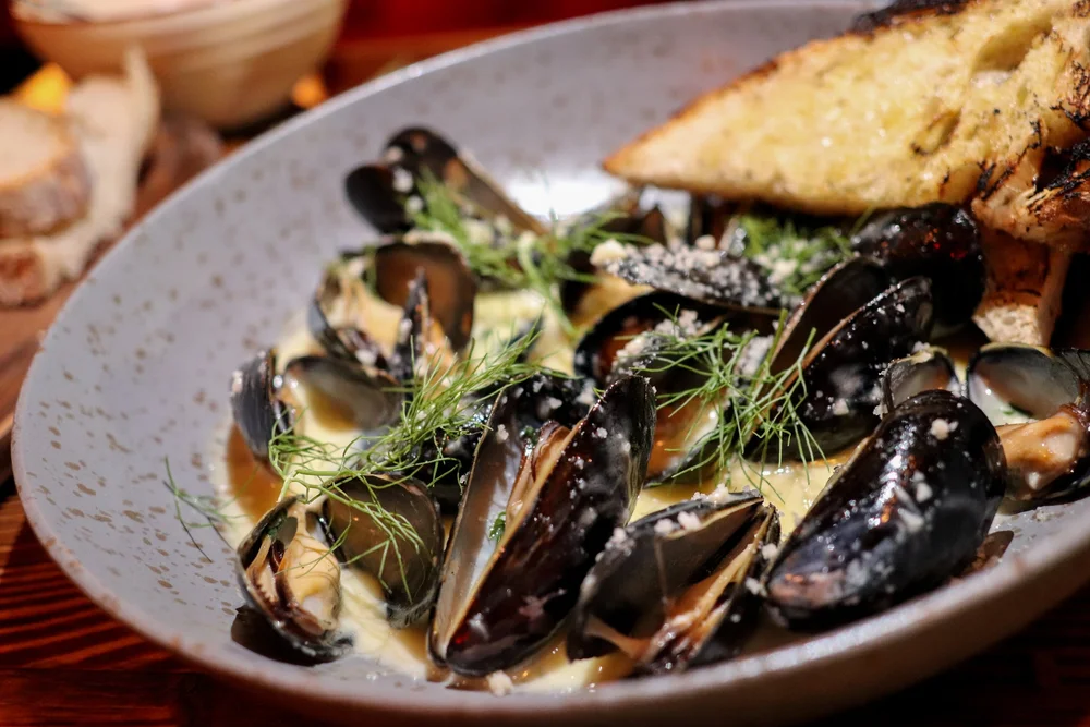 Bottega and Craft Kitchen Owners Open Quattro Osteria in Newtown — CT Bites