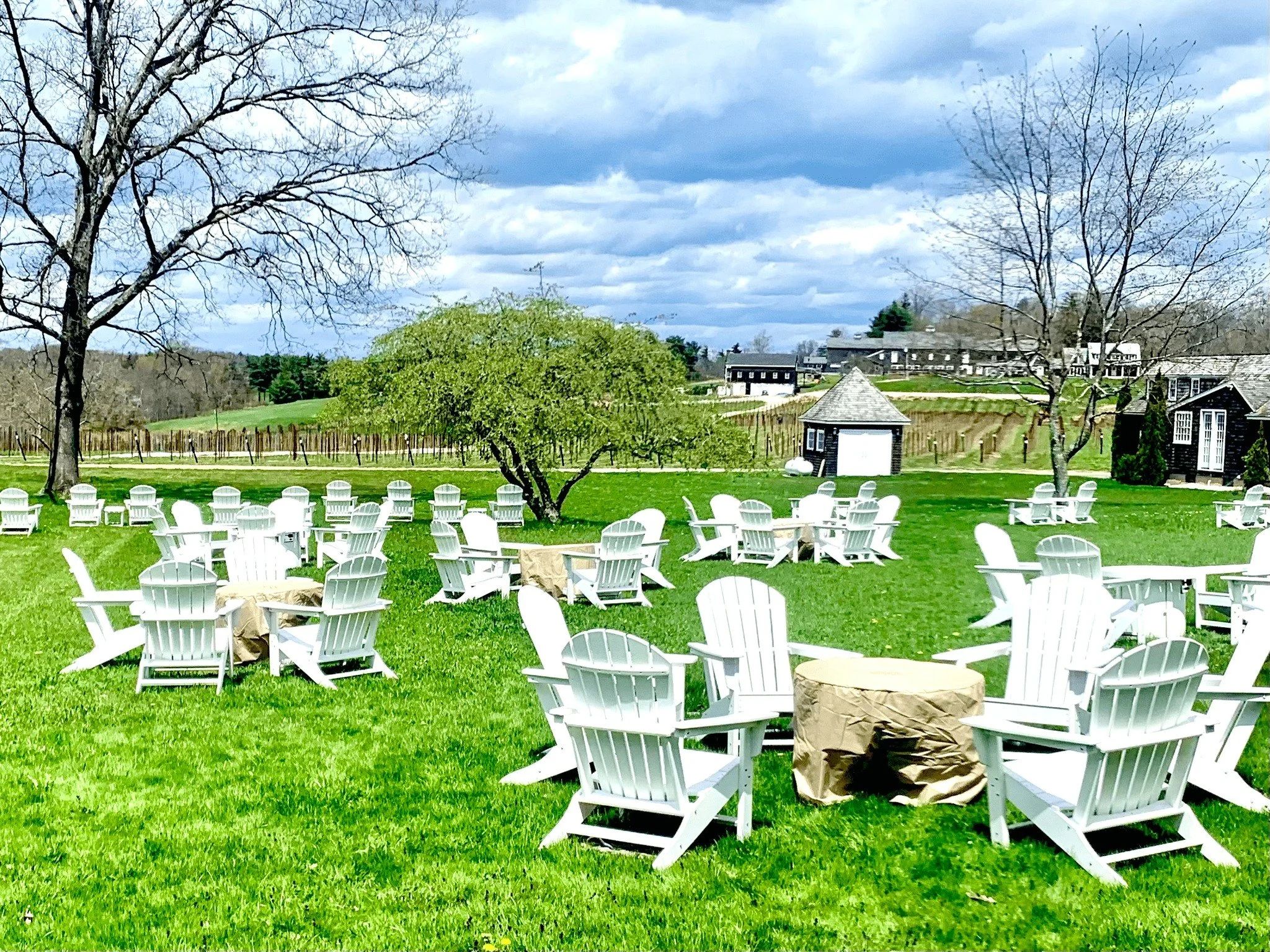 Guide To Connecticut Vineyards To Visit in Summer 2024 — CT Bites