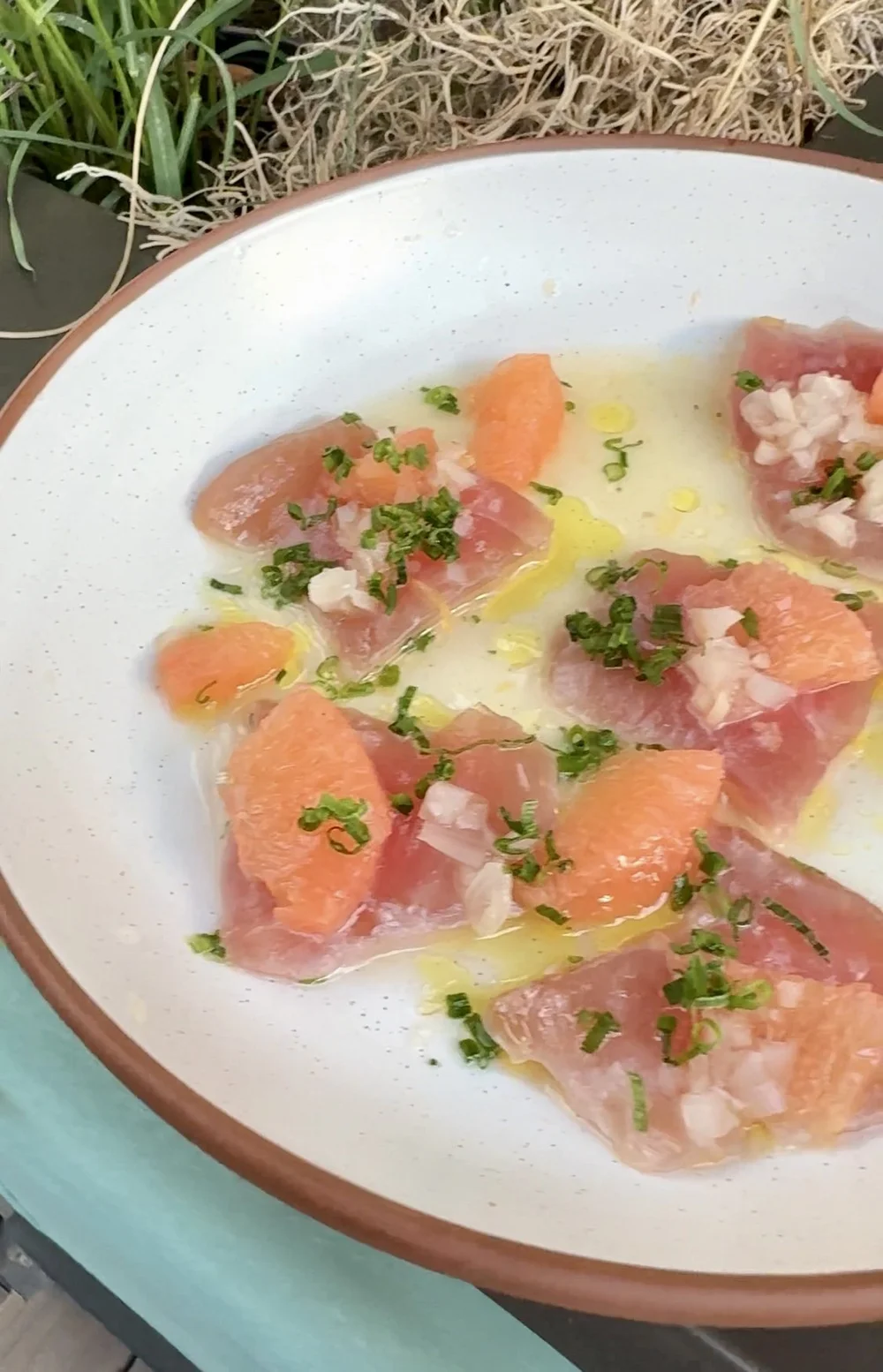 GIOIA New Haven Opens Rooftop Bar & Restaurant — CT Bites