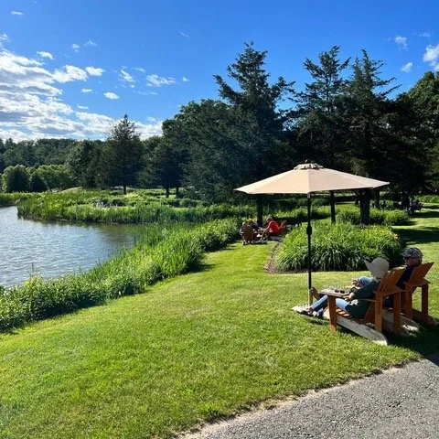 Guide To Connecticut Vineyards To Visit in Summer 2024 — CT Bites