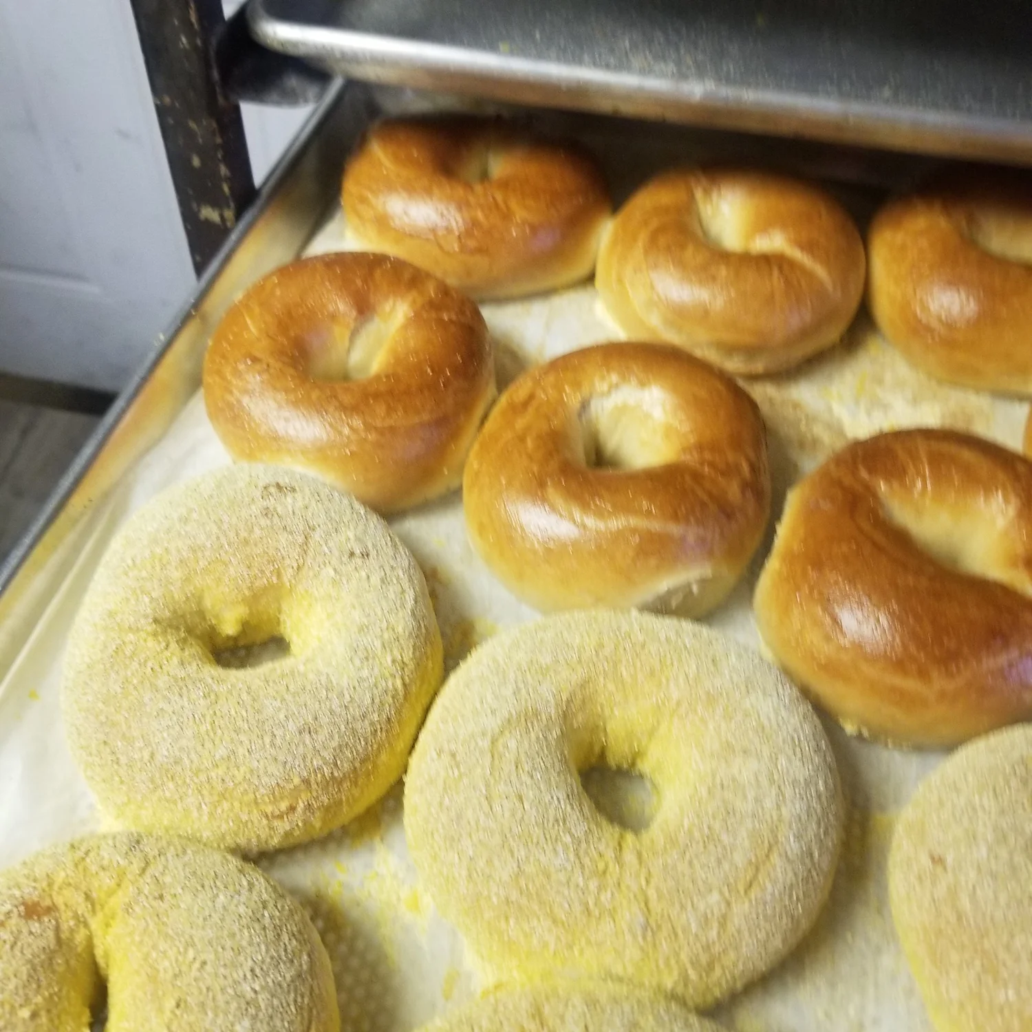 30+ Spots for Great Bagels in Connecticut — CT Bites