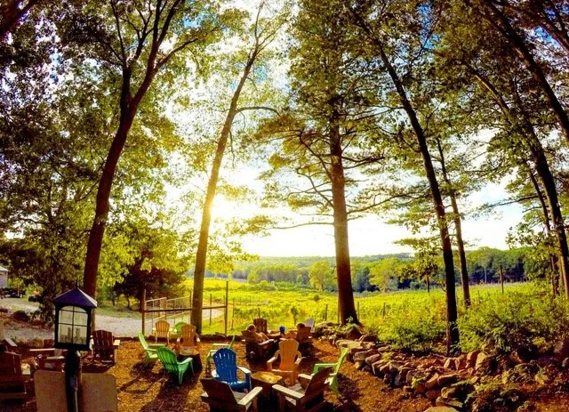 Guide To Connecticut Vineyards To Visit in Summer 2024 — CT Bites