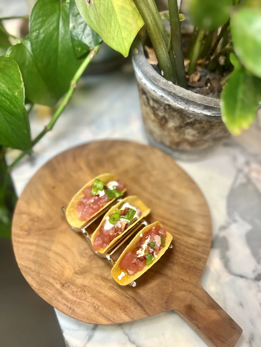 Terrain Cafe In Westport Opens New Bar & Exclusive Bar Menu — CT Bites