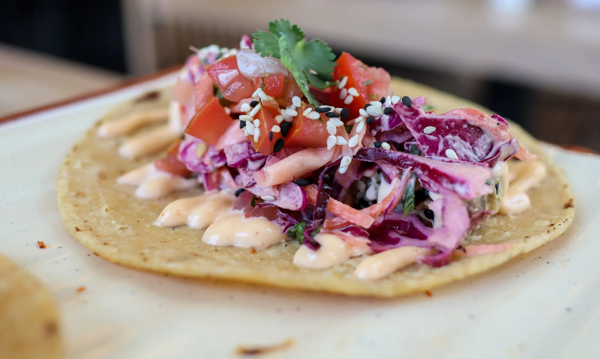 Taco Dia Opens in Newtown from the Bailey’s Backyard Team — CT Bites