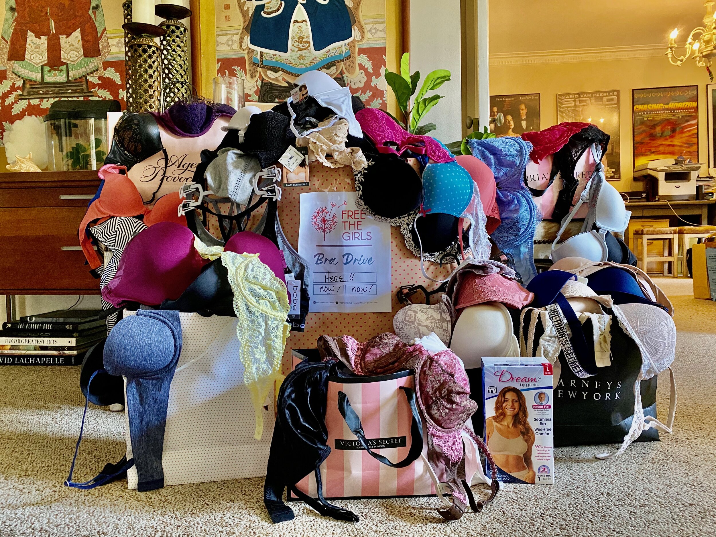 Free The Girls Donation Drive 02/2020 — The Mason Canter Group