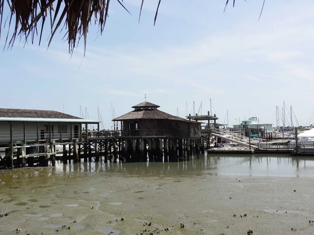 The Conch House — Florida Beach Bar