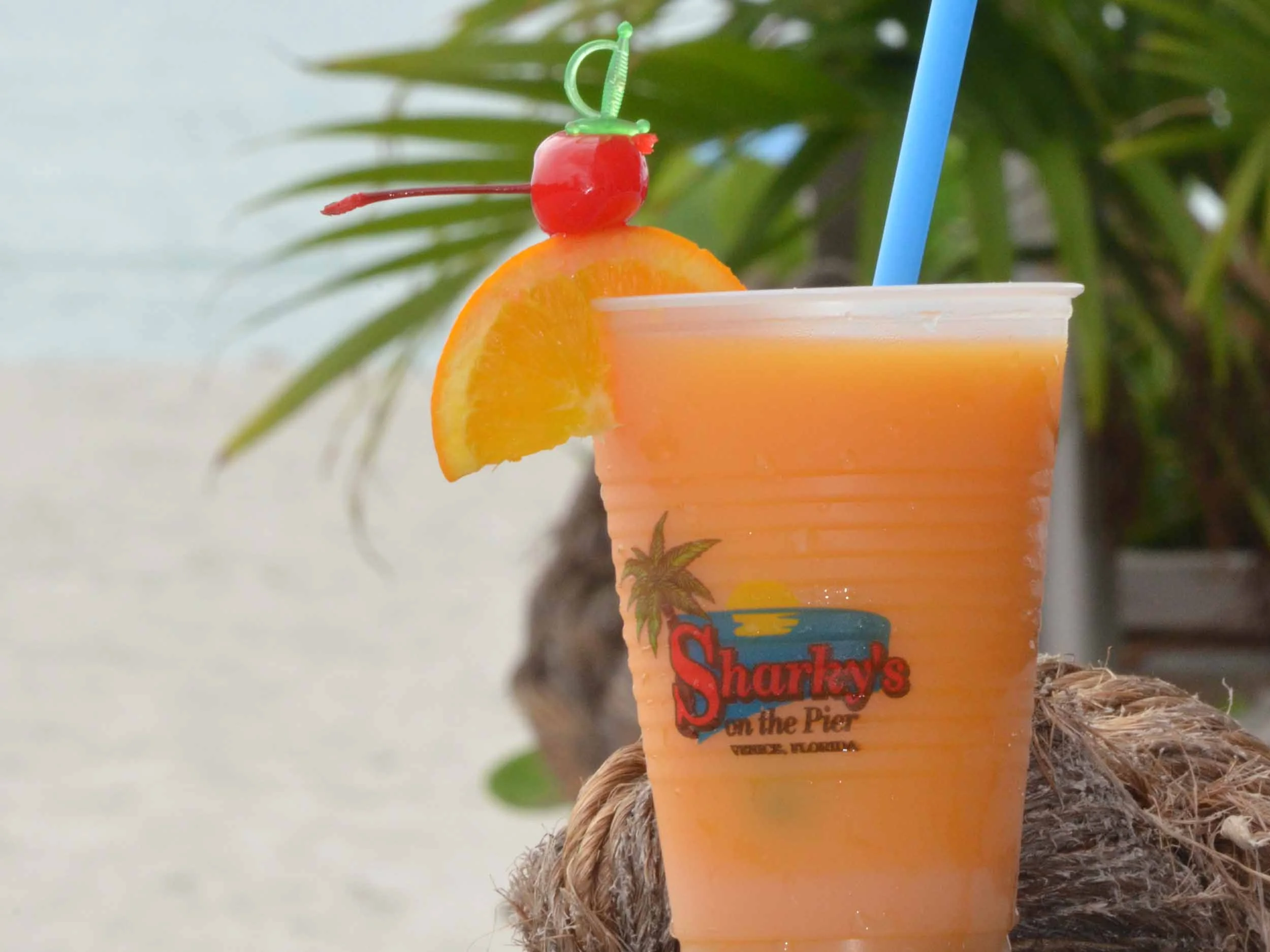 Sharky's on the Pier — Florida Beach Bar