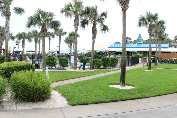 Lemon Bar — Florida Beach Bar
