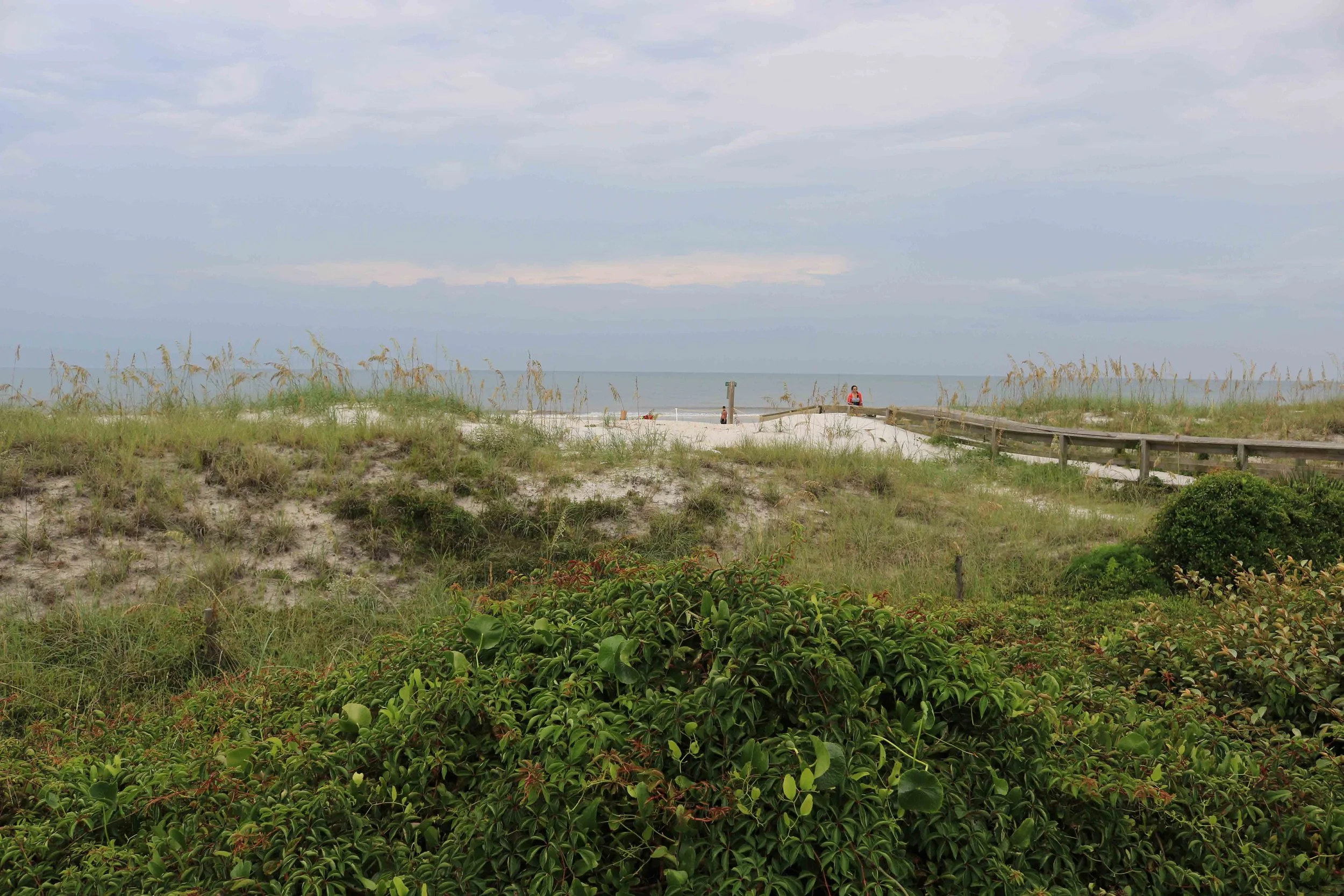 Lemon Bar — Florida Beach Bar