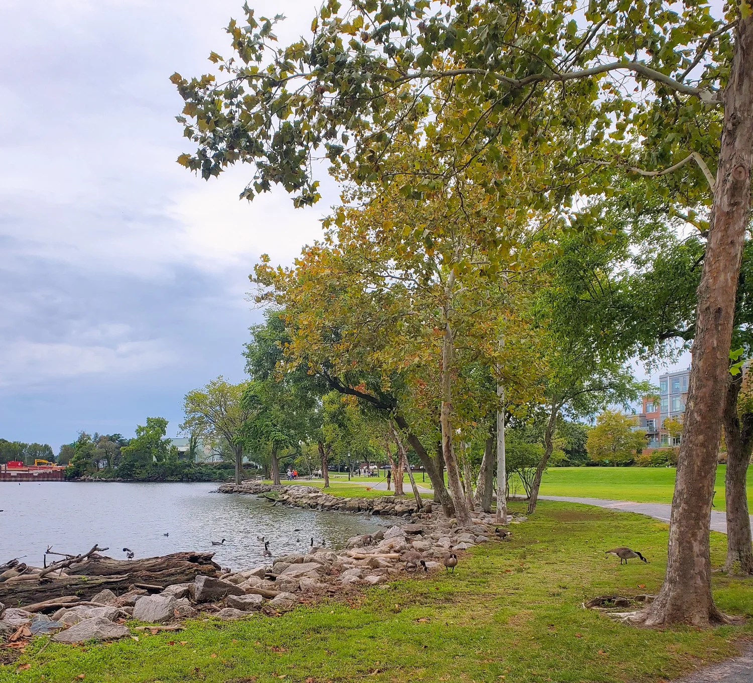 Things to Do in Old Town Alexandria — Lattes, Life & Luggage