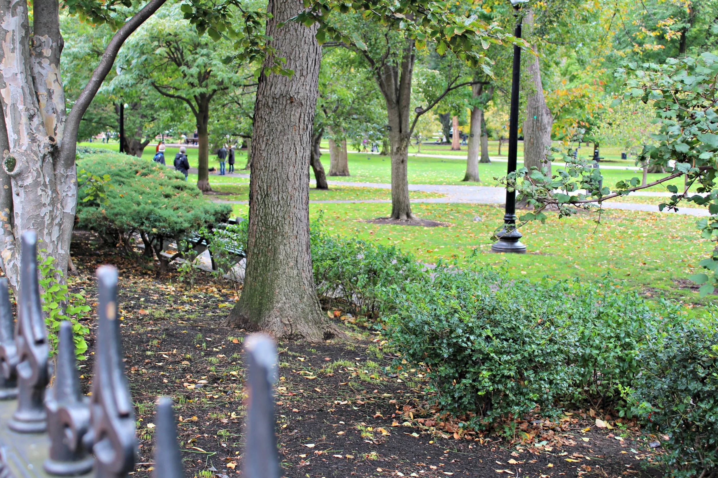 Walking Through The Boston Common — Lattes, Life & Luggage