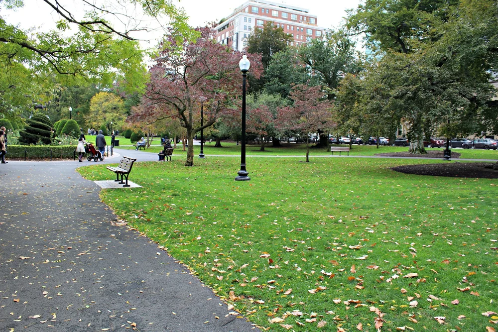 Walking Through The Boston Common — Lattes, Life & Luggage