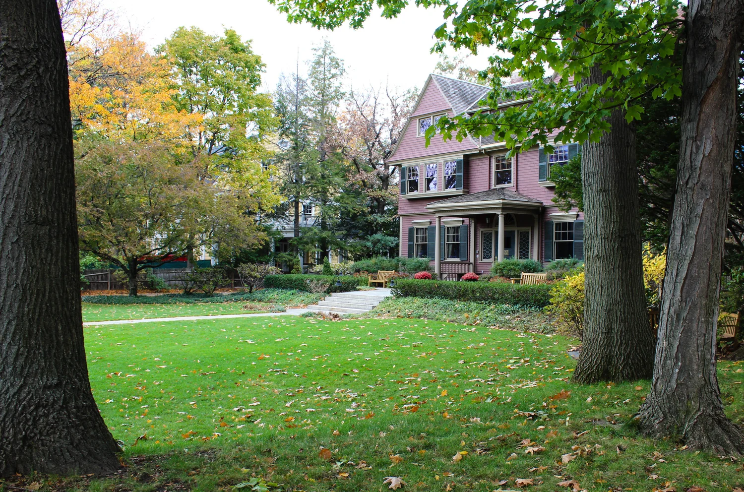Cambridge Neighborhood Guide | Boston — Lattes, Life & Luggage