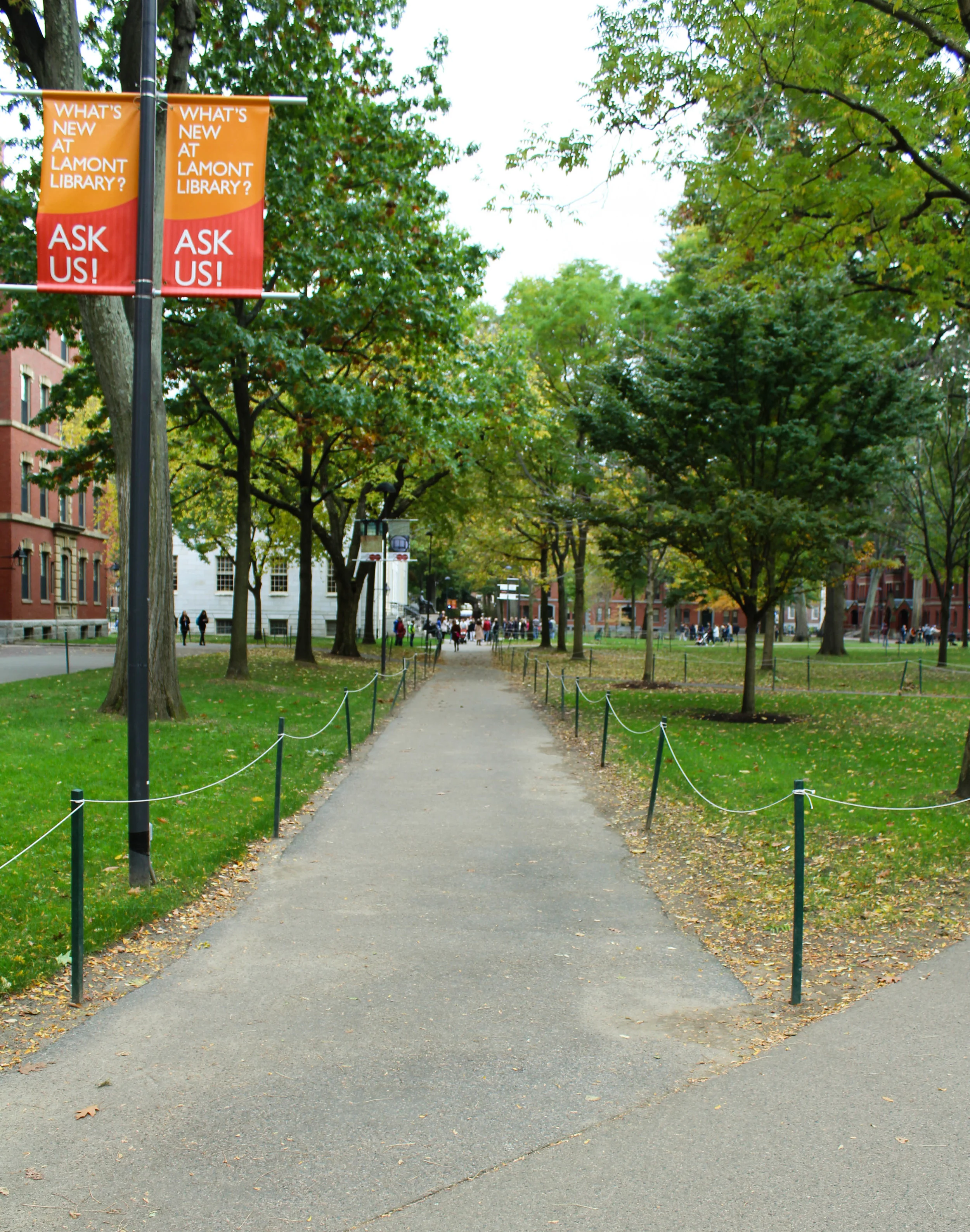 Cambridge Neighborhood Guide | Boston — Lattes, Life & Luggage