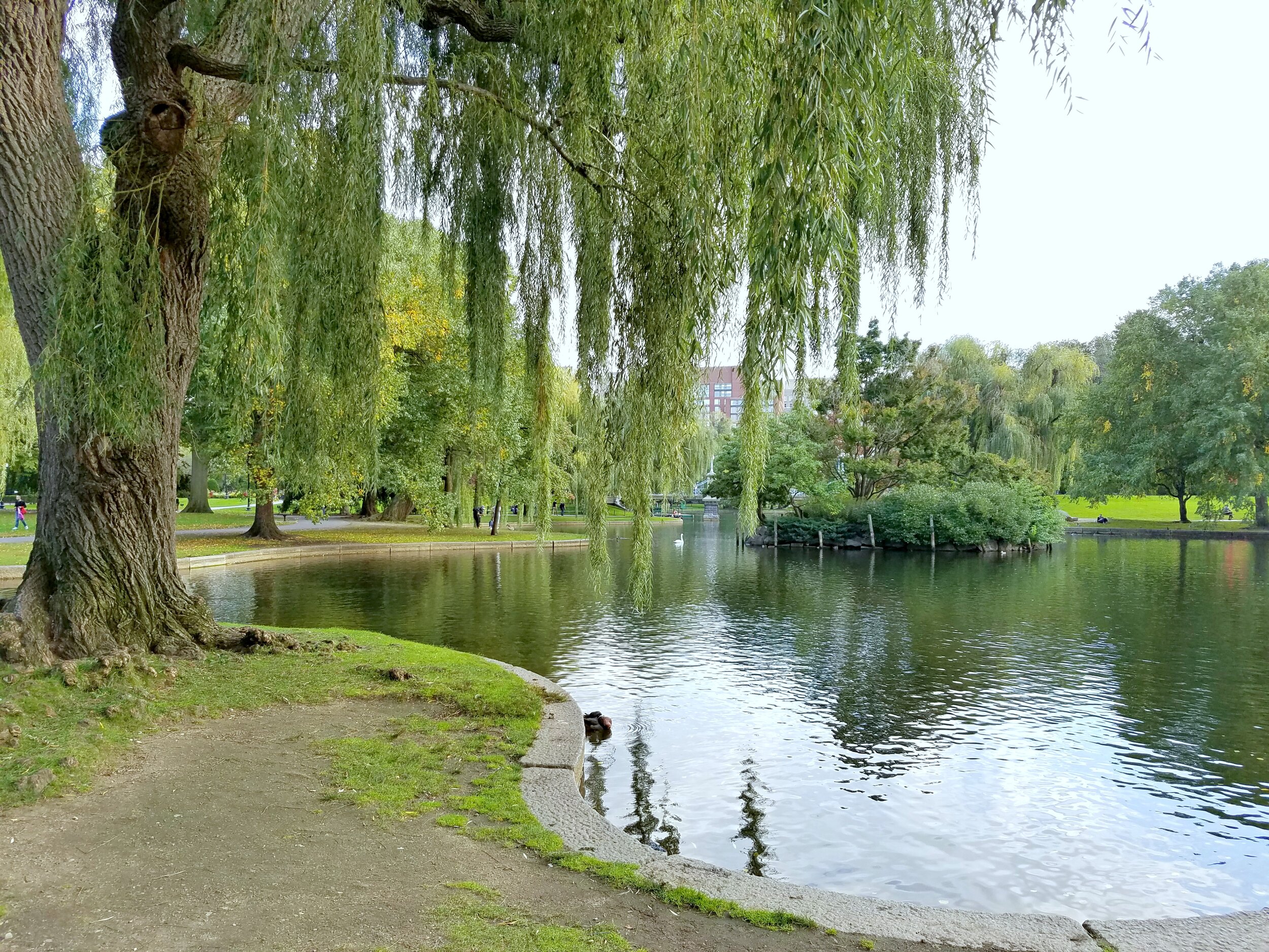 How to Spend Two Days In Boston — Lattes, Life & Luggage