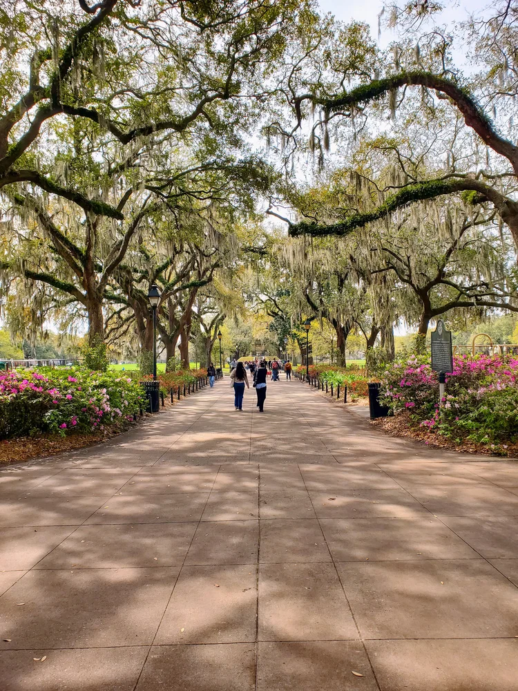 A First-Timer’s Guide to Savannah — Lattes, Life & Luggage