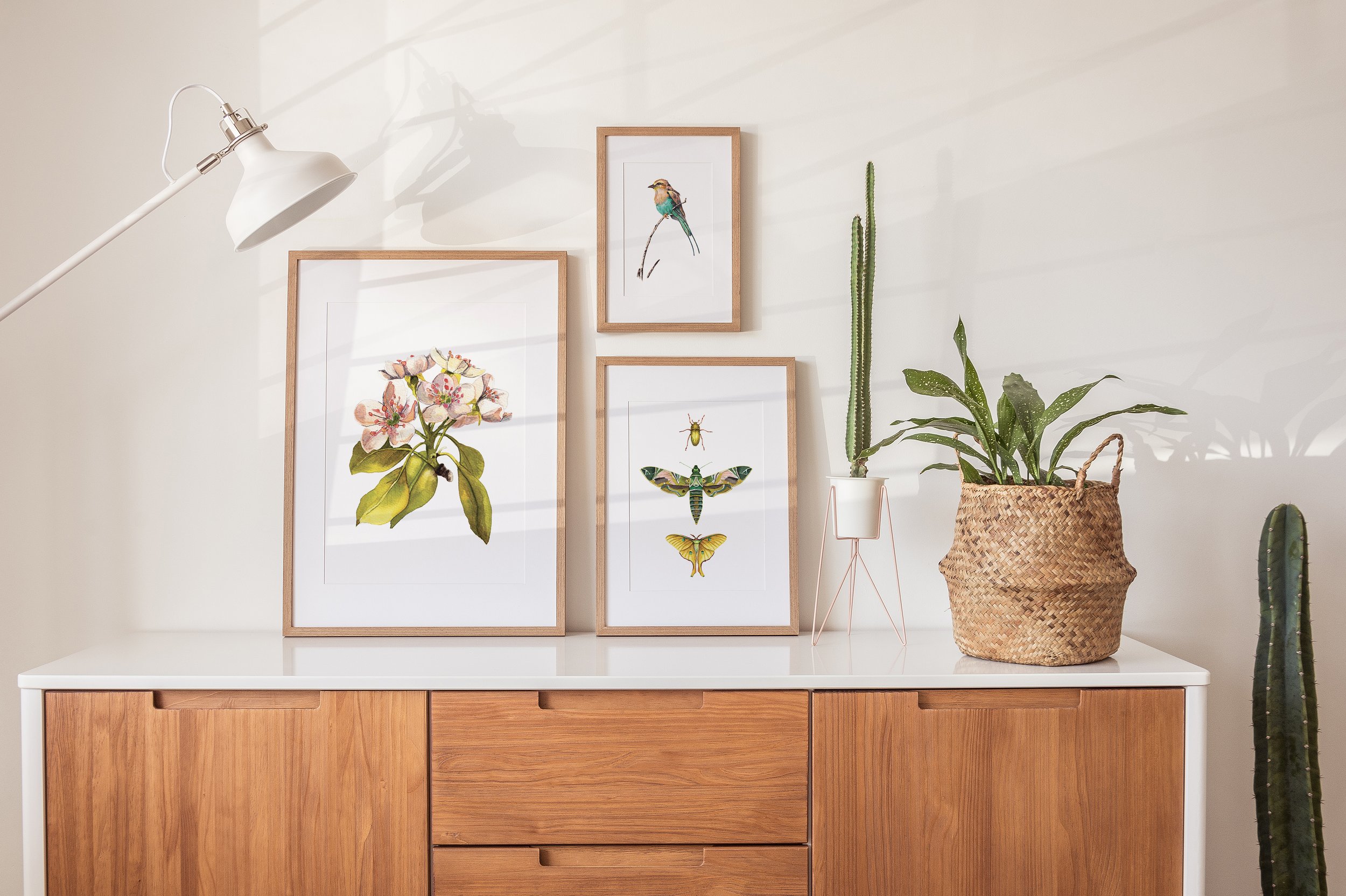 New Limited Edition Nature Wall Art — Nicki Traikos | life i design