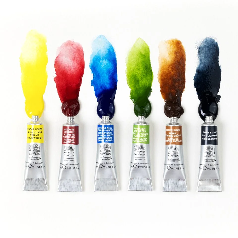 Winsor and Newton Professional Watercolor Palette — Nicki Traikos ...
