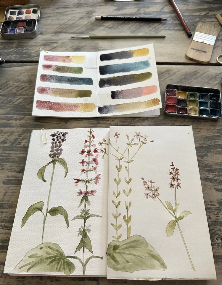 Botanical Watercolor Painting for Beginners — Nicki Traikos | life i ...