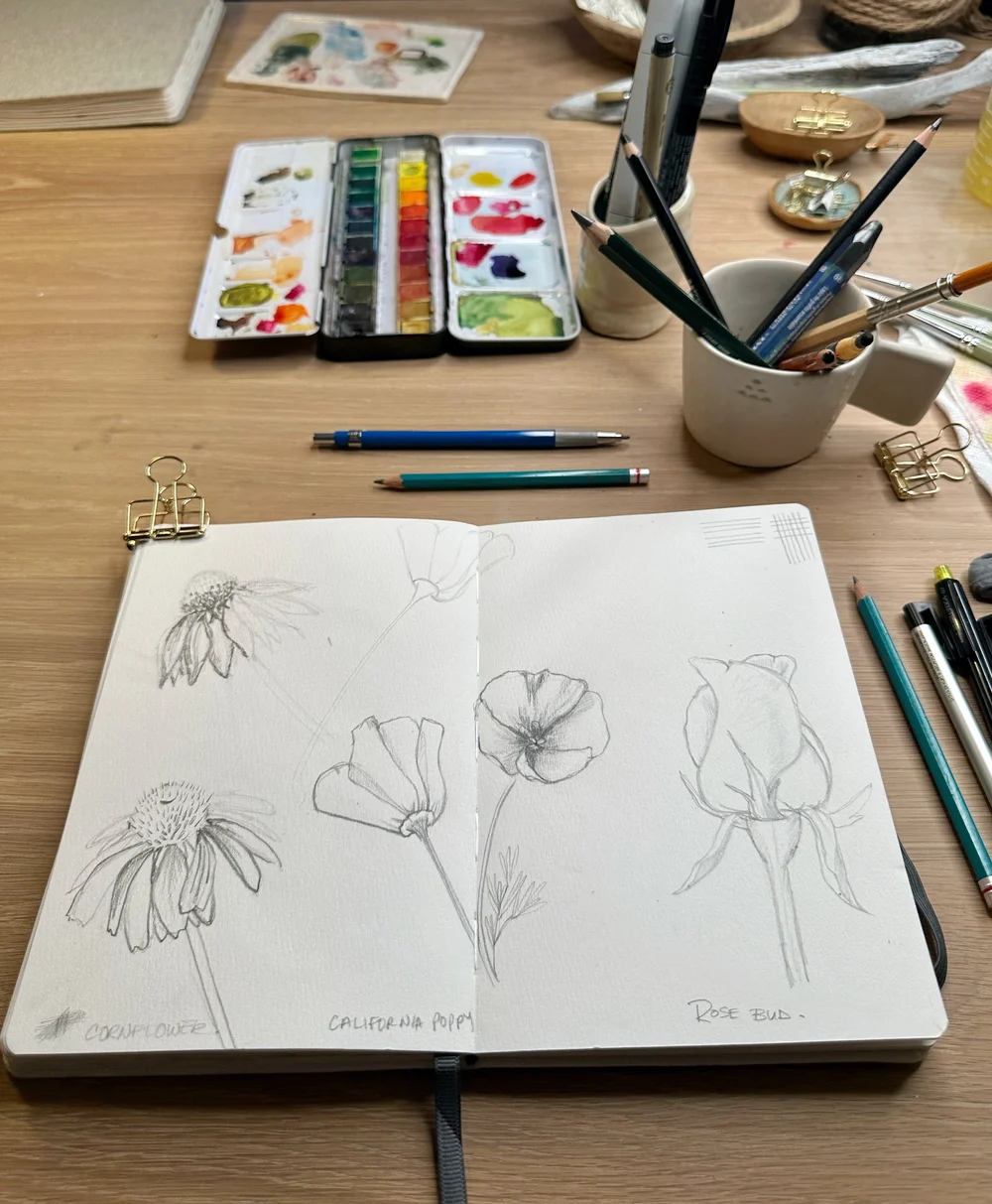Sketching for Watercolor Painting for Beginners — Nicki Traikos | life ...