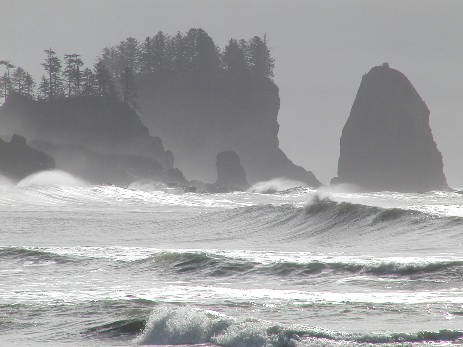 Curriculum Vitae — Ken Cousins