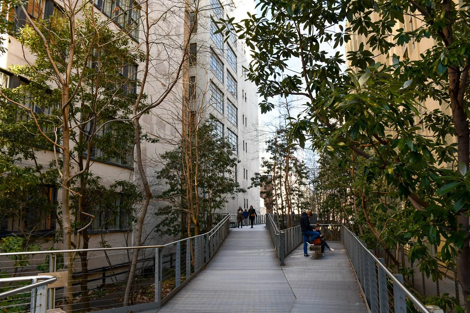 Lessons from the High Line in Winter | Meristem