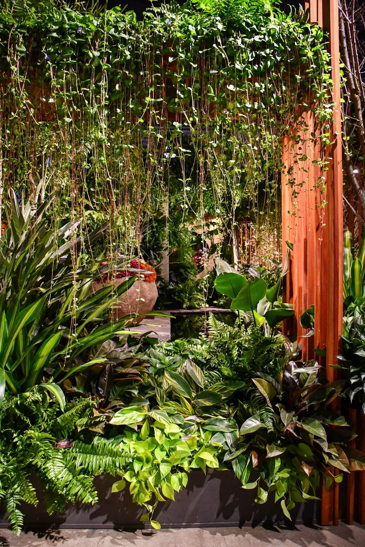 plant•ed blog by Dr. Jared Barnes | Meristem