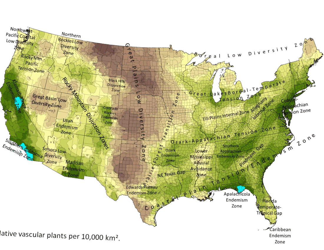 The Avoidance Zone | Meristem