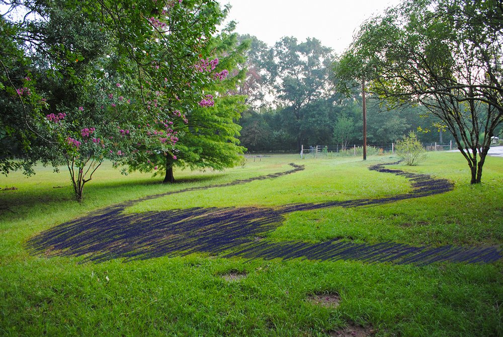 A Prairie from Scratch | Meristem