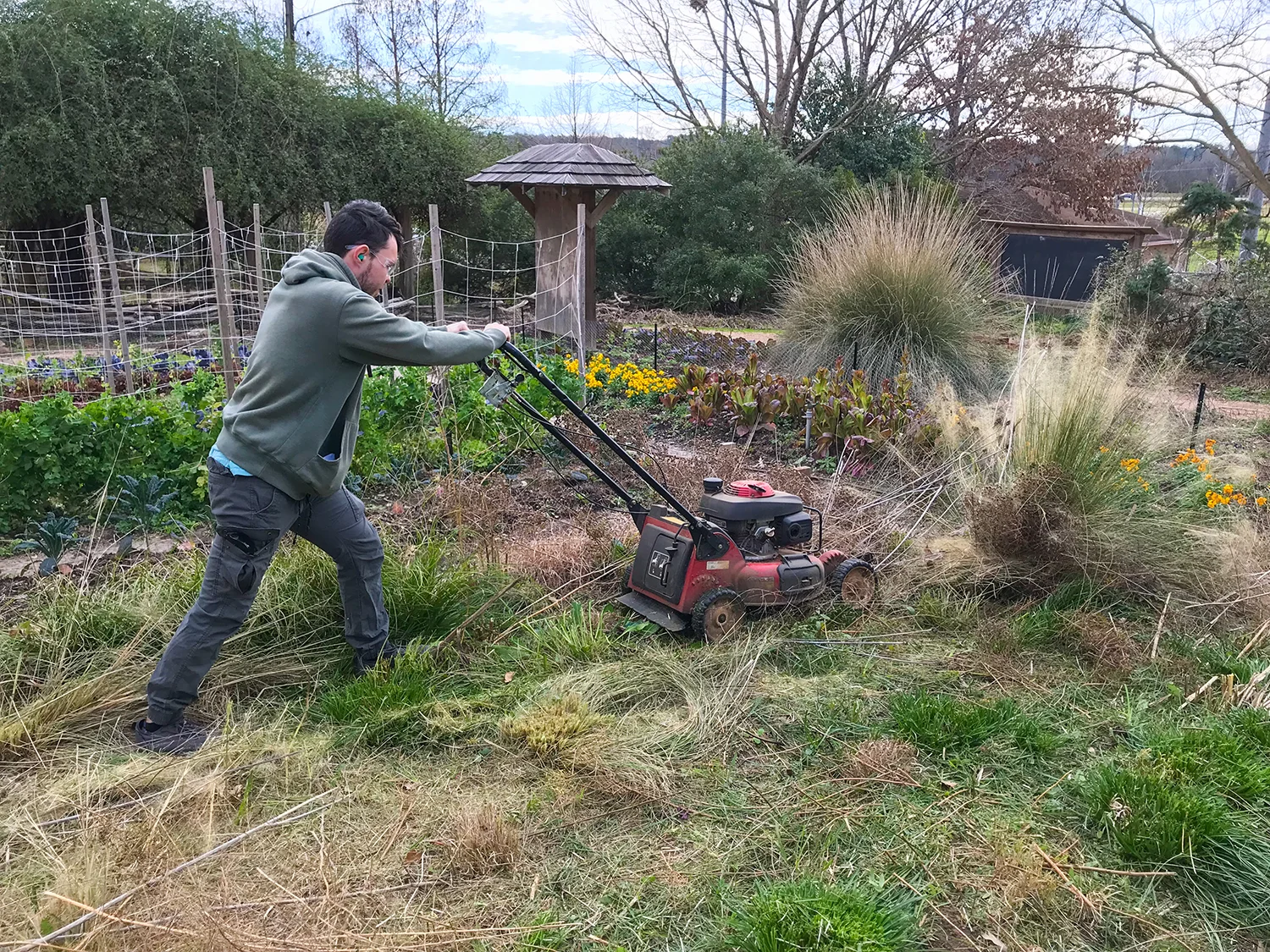 Mowing the Food Prairies | Meristem