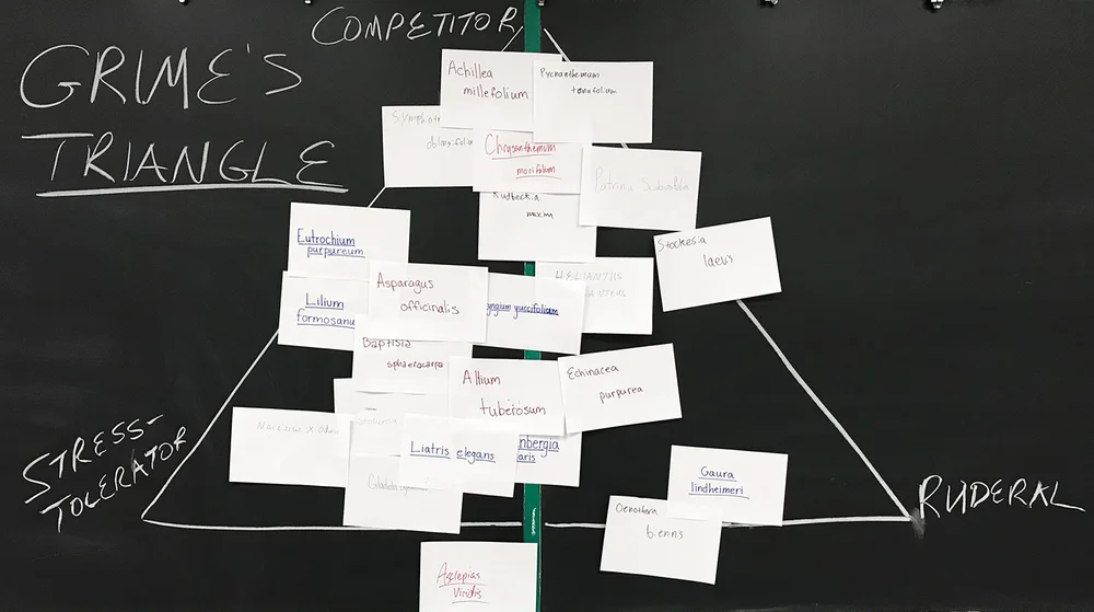 stress-tolerator — plant•ed blog by Dr. Jared Barnes | Meristem