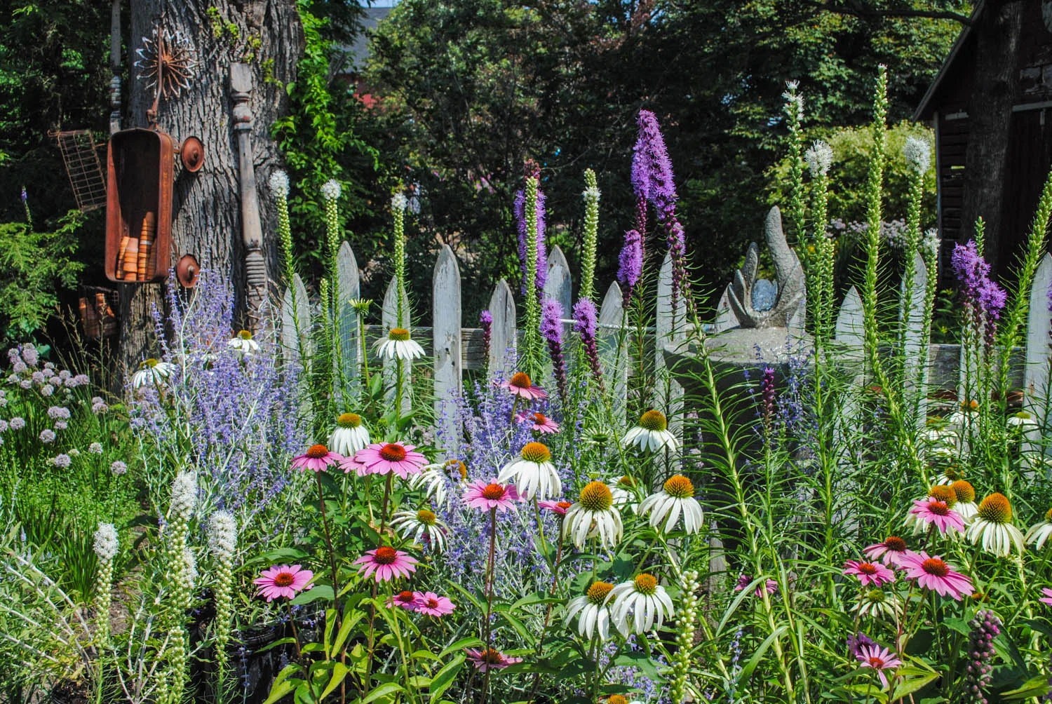 PPA 2019: North to Northwind Perennial Farm | Meristem