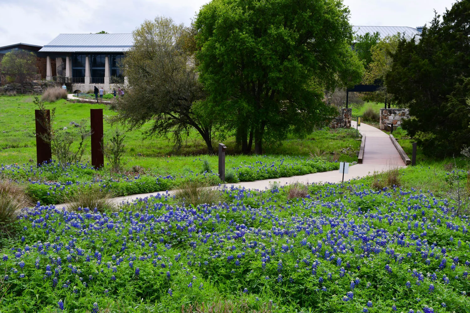 The Pastoral Spirit of Lady Bird Johnson Wildflower Center | Meristem