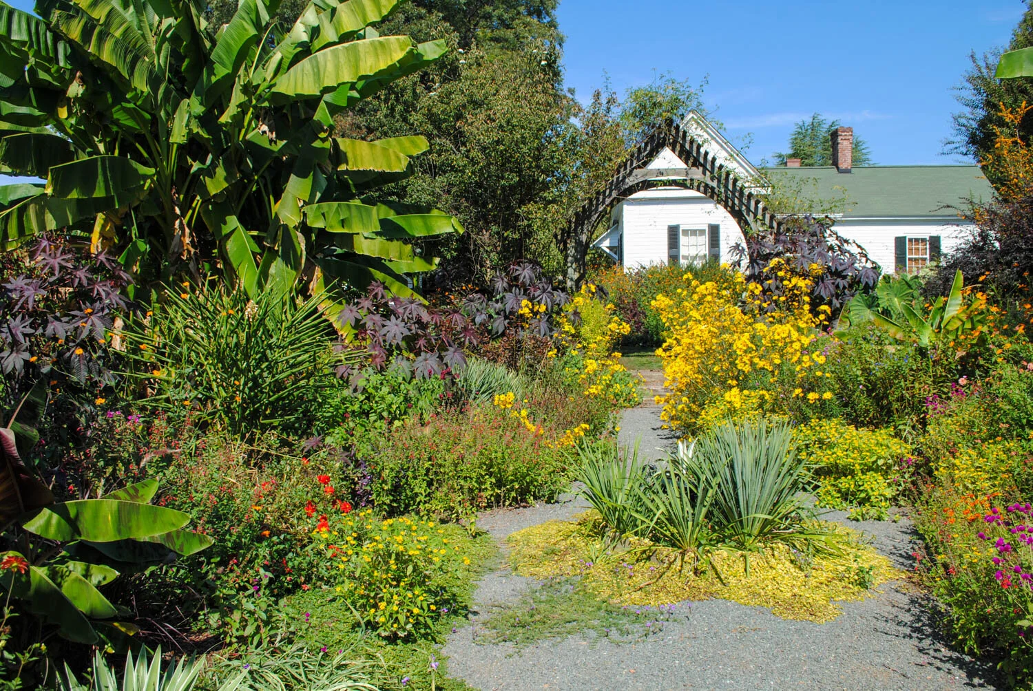 Autumn at Montrose | Meristem