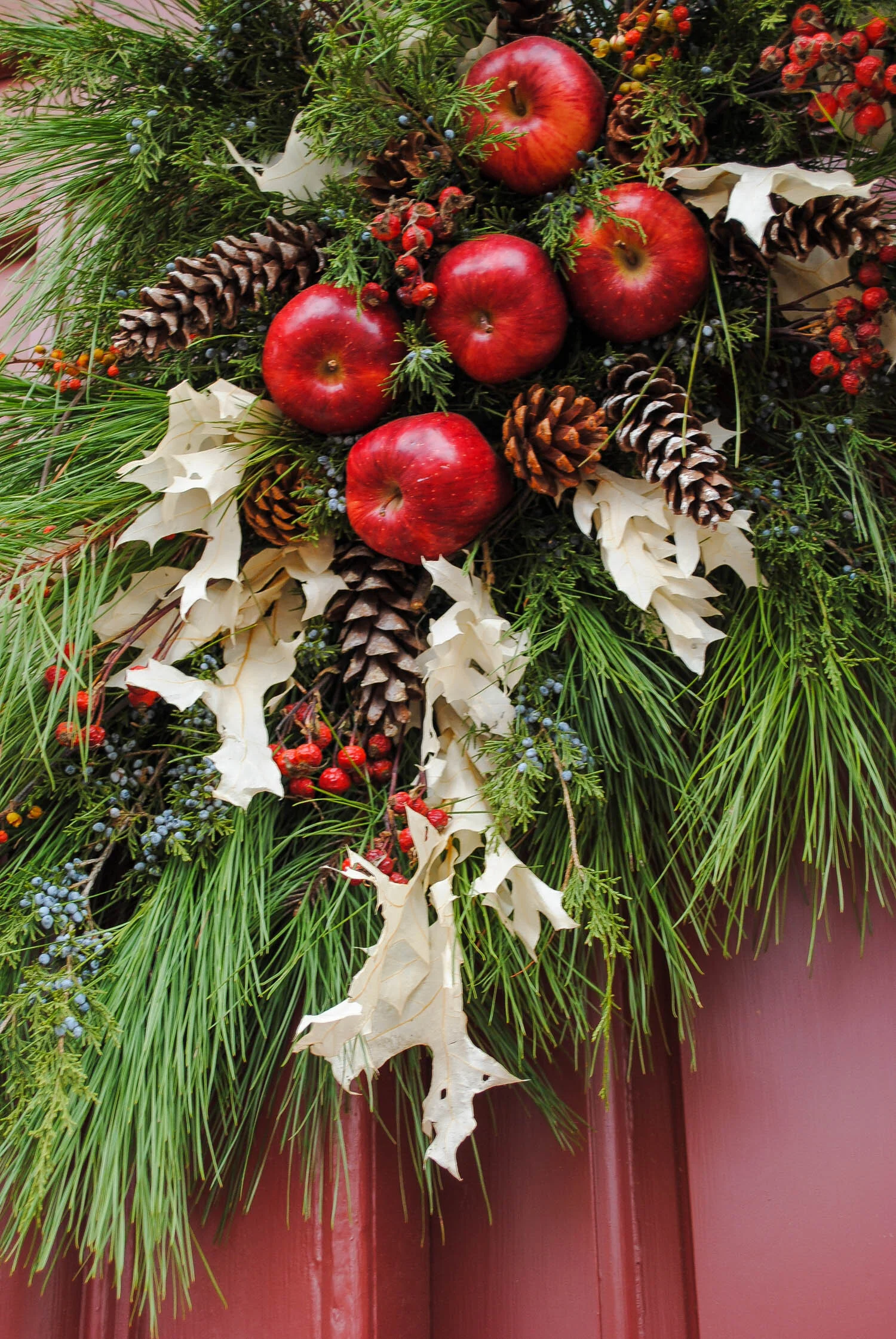 Christmas — plant•ed blog by Dr. Jared Barnes | Meristem