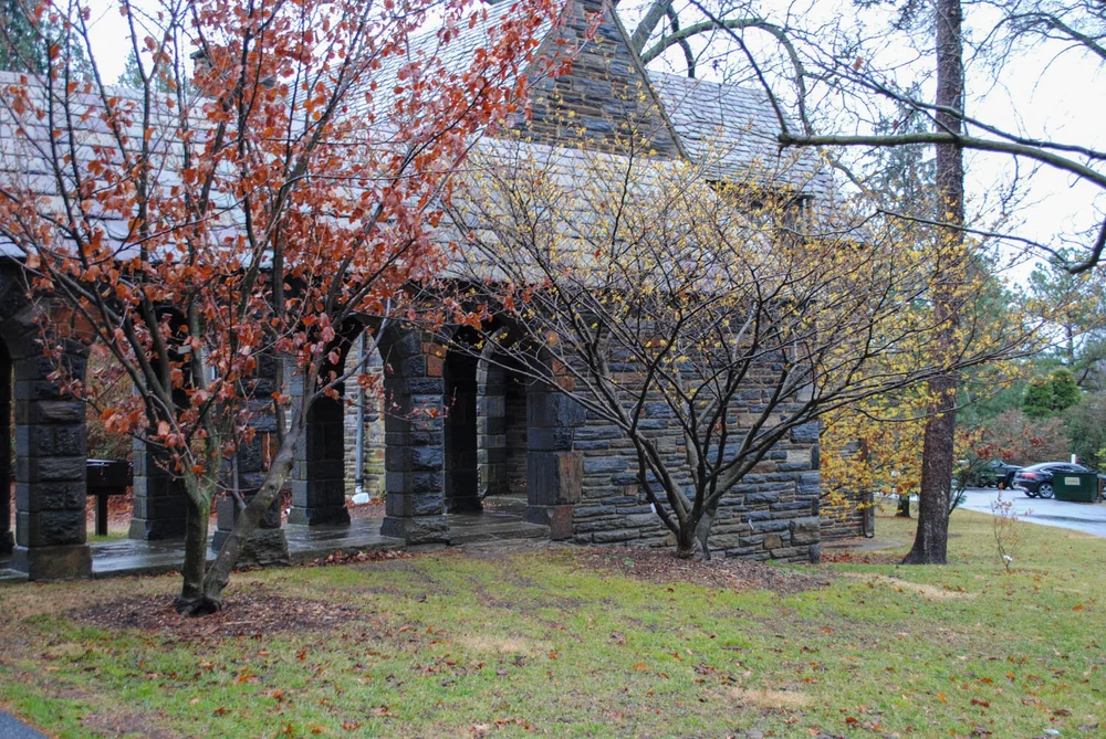 Witch Hazels at The Scott Arboretum | Meristem