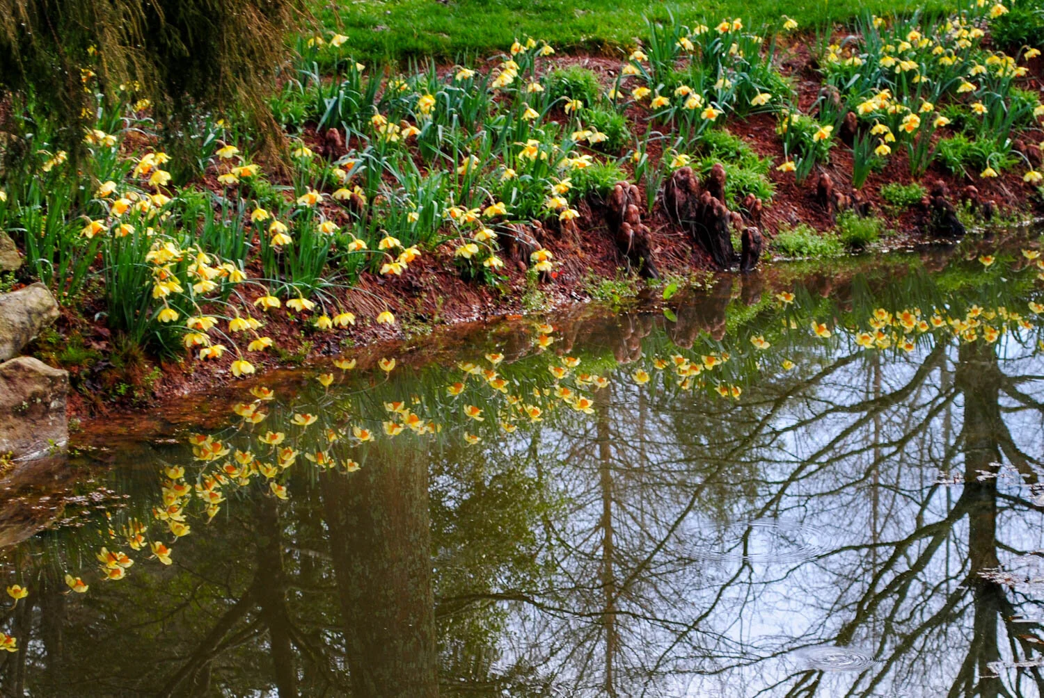 Gibbs Gardens | Meristem