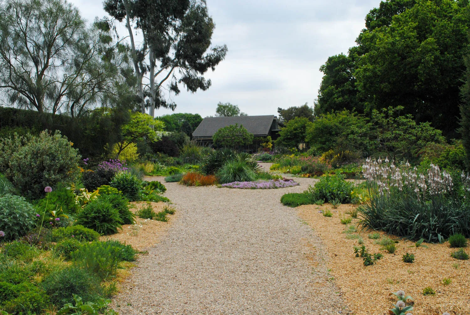 True Grit: Planting a Gravel Garden with Students | Meristem