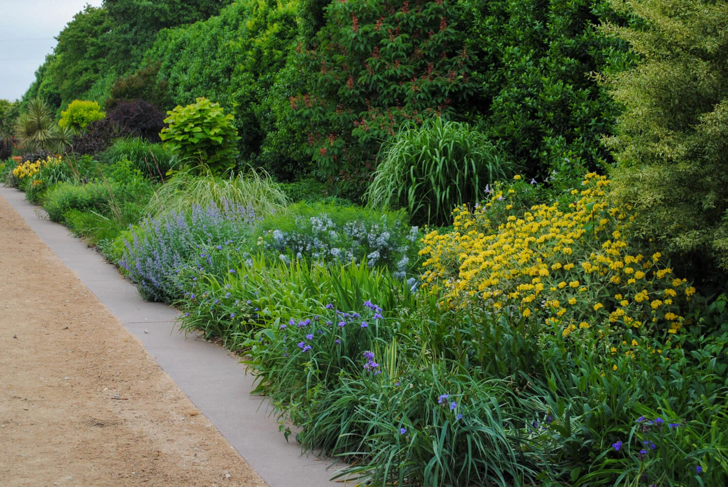May at the JC Raulston Arboretum | Meristem