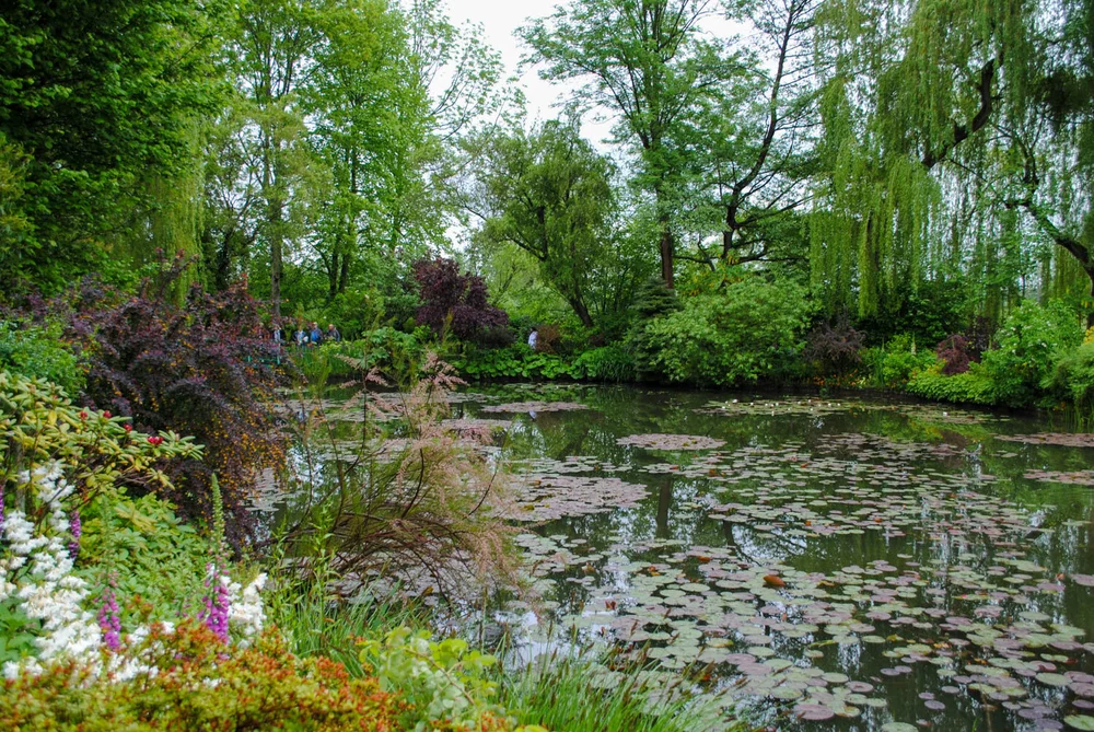 Claude Monet, Plantsman and Painter | Meristem