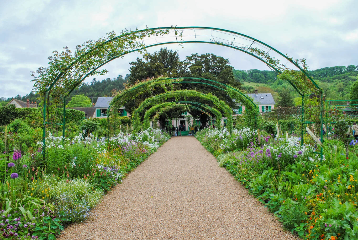 Claude Monet, Plantsman and Painter | Meristem