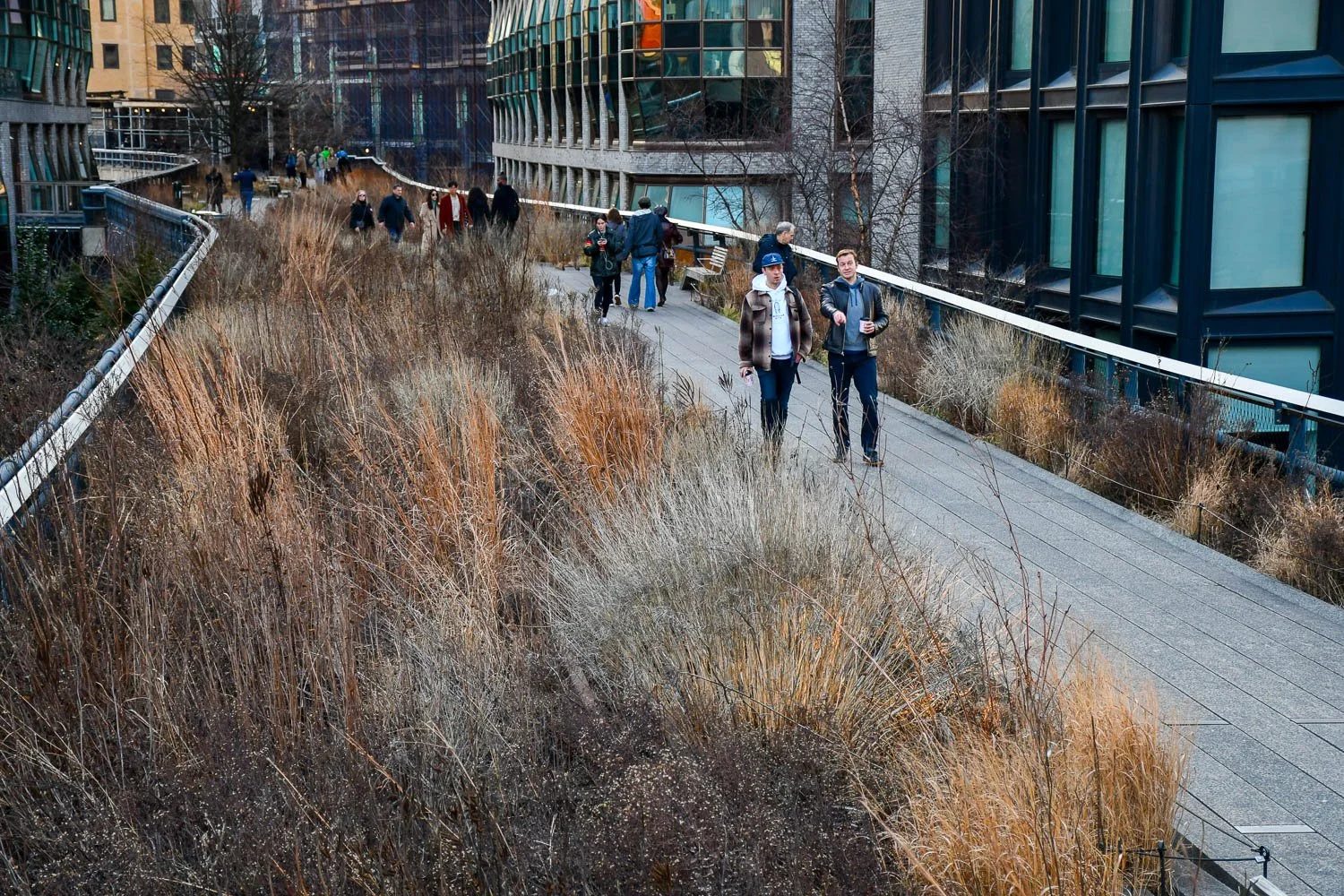 The Power of Repetition: How Repeating Plants Unifies PLANTINGS | Meristem