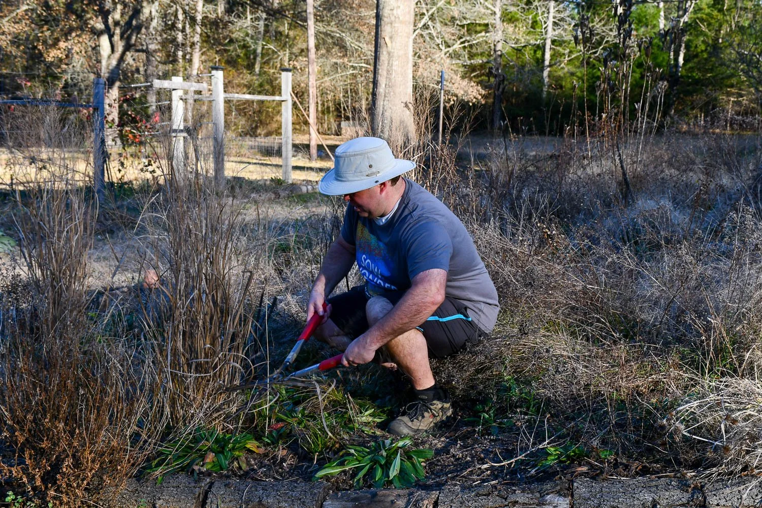 Layer by Layer: Simplifying Naturalistic Planting Design | Meristem