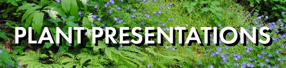 Plant Presentations by Dr. Jared Barnes | Meristem