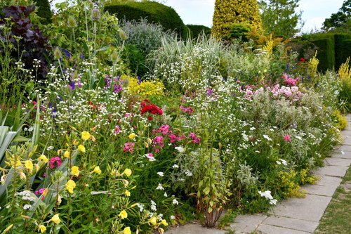The Power of Repetition: How Repeating Plants Unifies PLANTINGS | Meristem