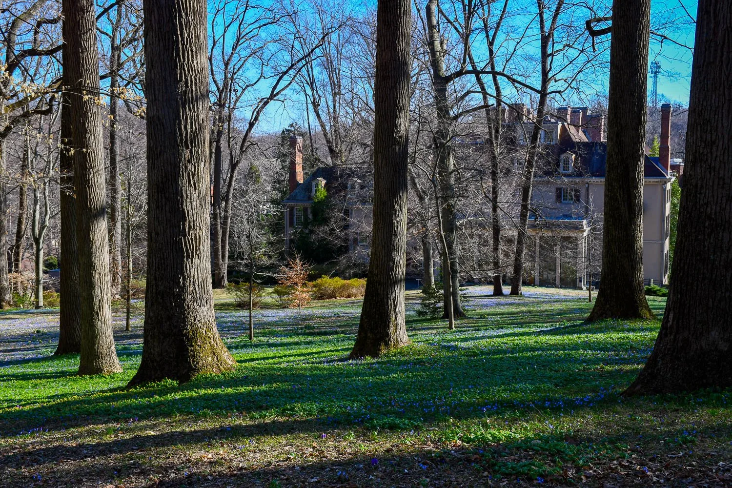 Wintherthur and The Scott Arboretum in Early Spring | Meristem