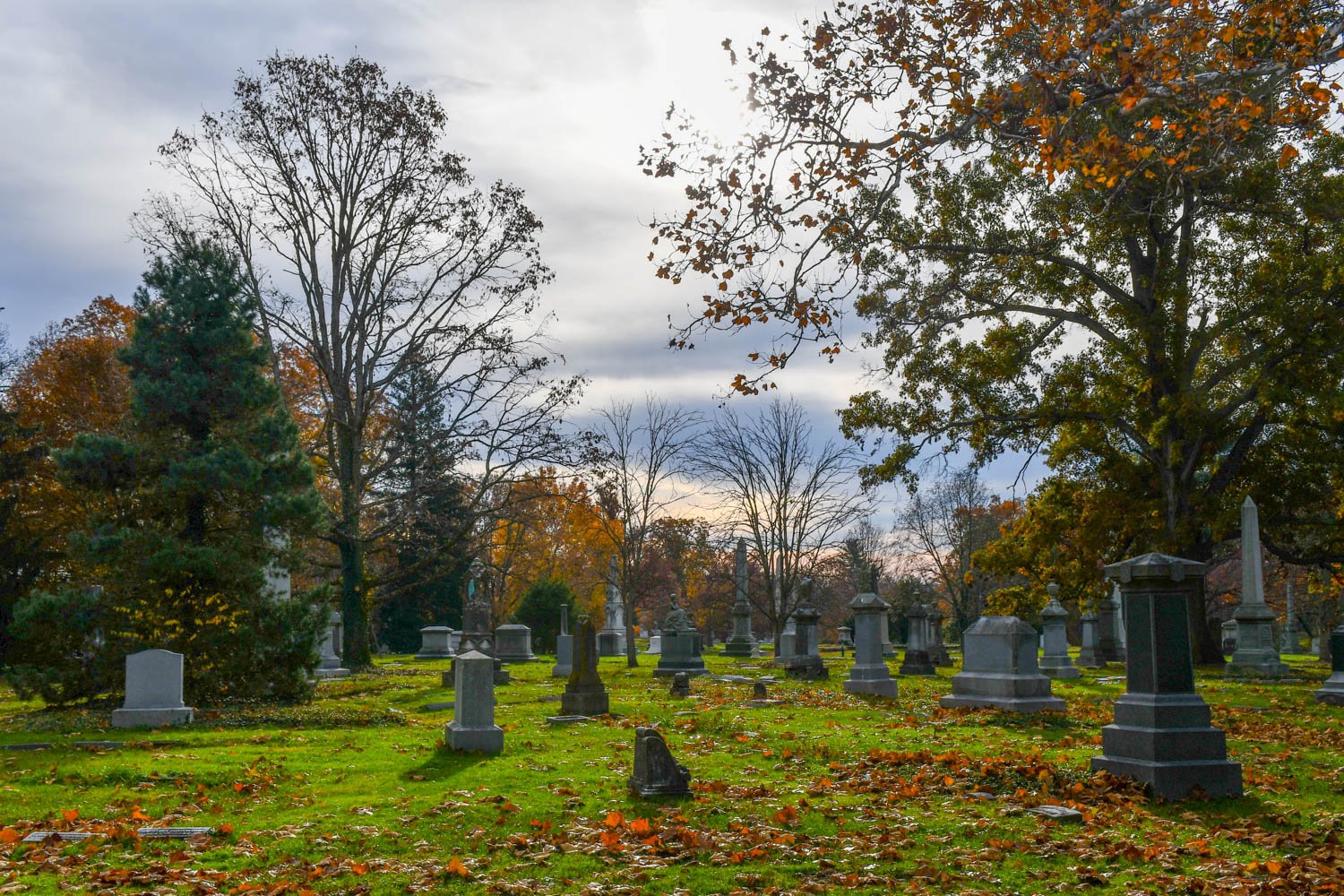 Autumn in Spring Grove Cemetery | Meristem