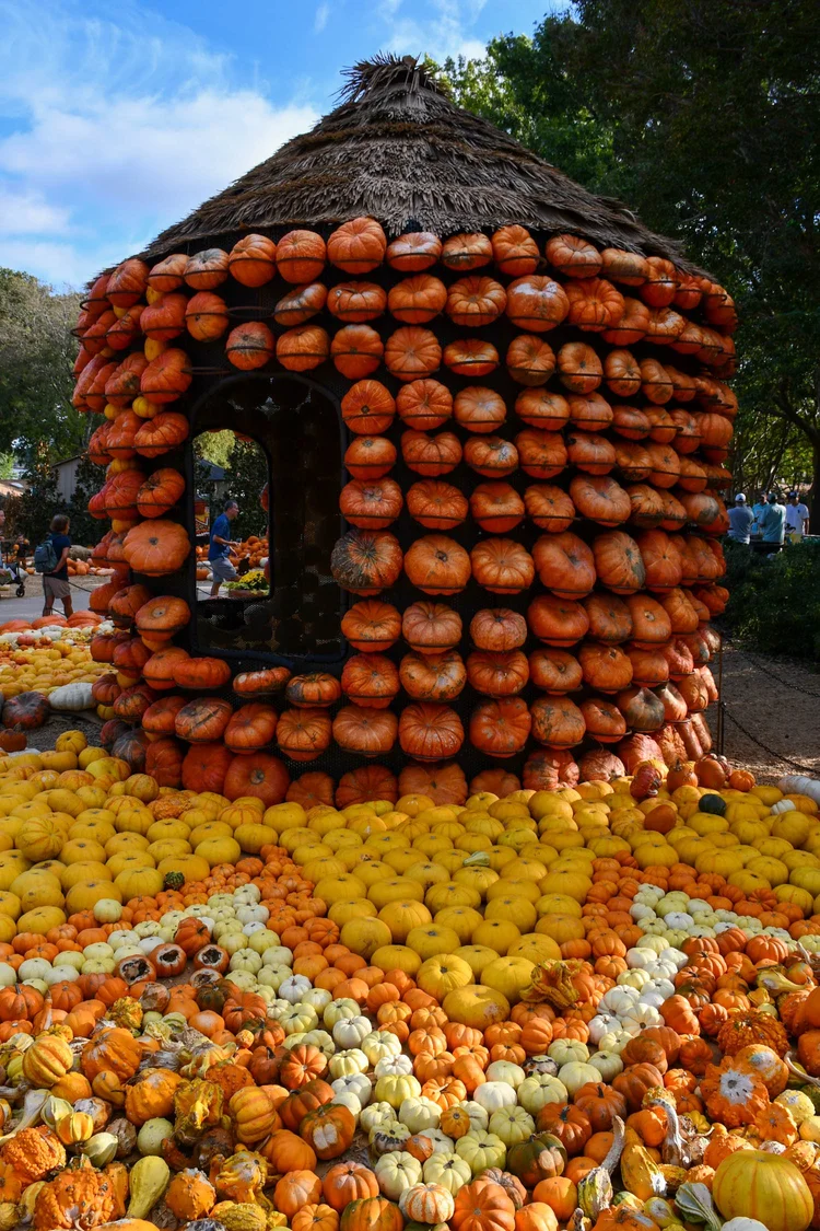 Autumn Inspiration from the Dallas Arboretum | Meristem