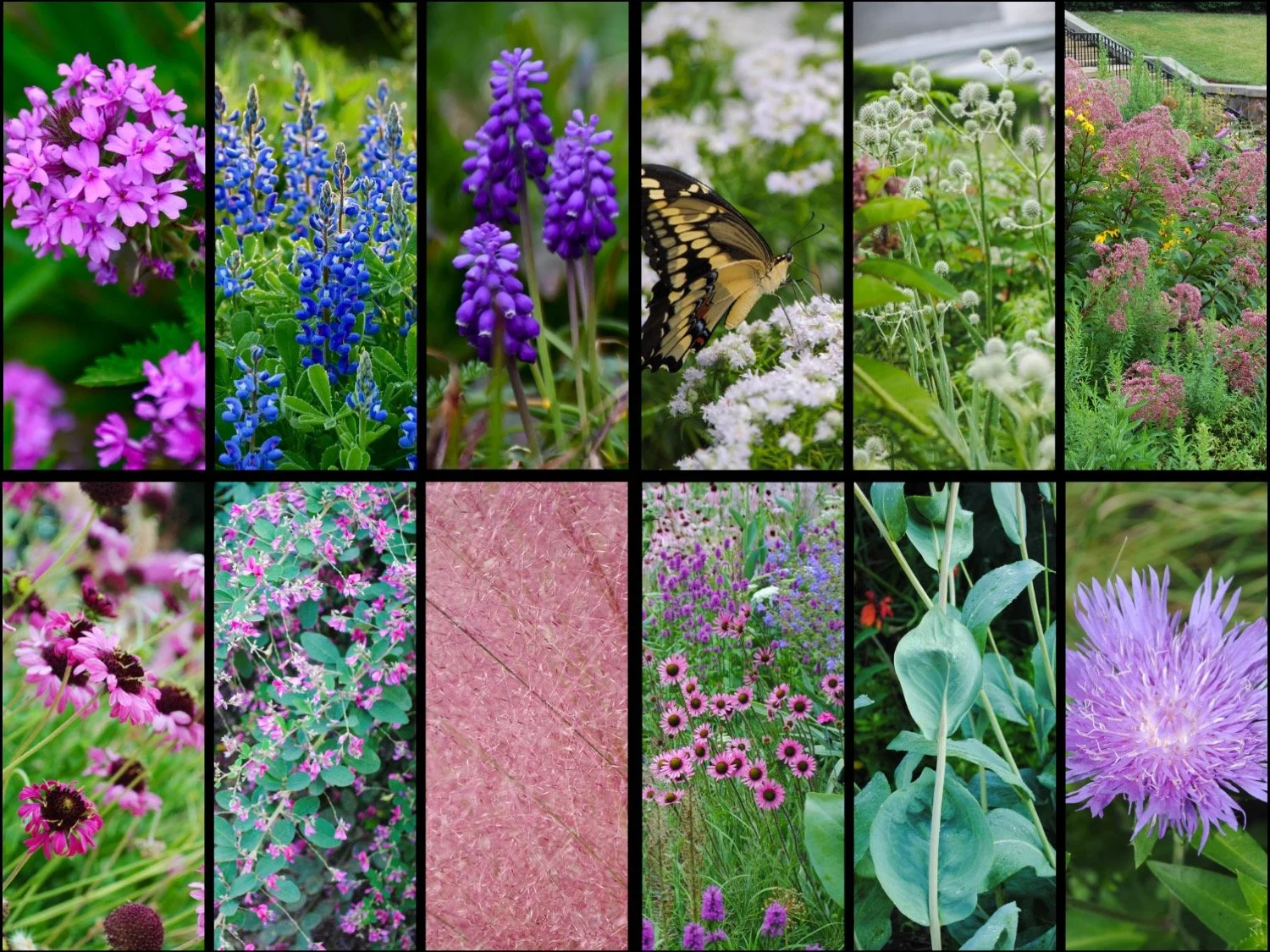 Layer by Layer: Simplifying Naturalistic Planting Design | Meristem